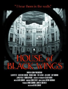 Retro-review: THE HOUSE WITH BLACK WINGS (2010)! – MLMILLERWRITES ...